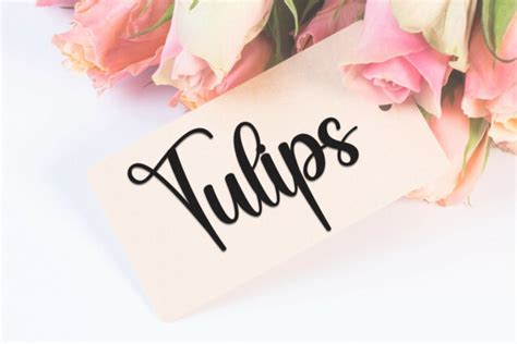 mobile windows font free for personal