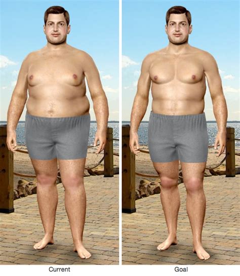 Pin On Muscle Simulator