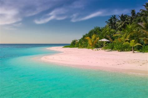 How To Use Torchmetrics A Guide For Using Torchmetrics With By Mattia Gatti Towards Ai