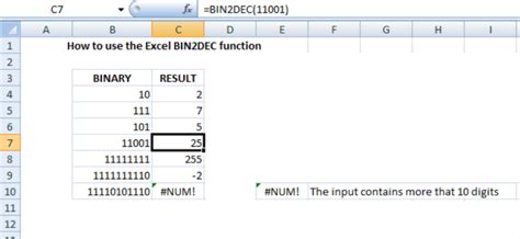 How To Use The Excel Bin2dec Function Excelchat