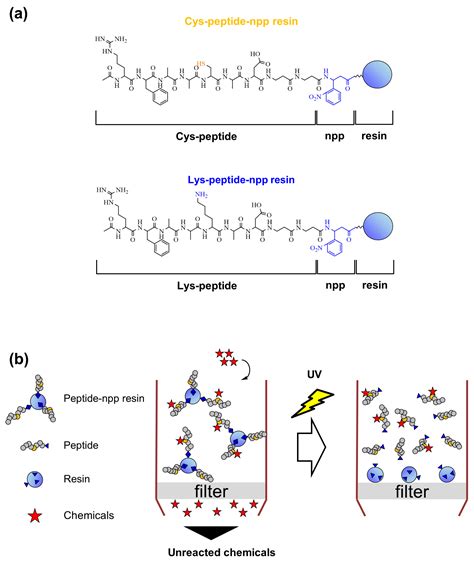 Mass Spectrometry Based Solid Phase Peptide Reaction Assay For Detecting Allergenicity Using An