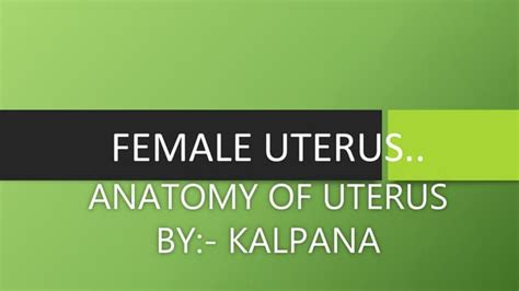 Supports Of Uterus Pptx Supports Of Uterus Pptx