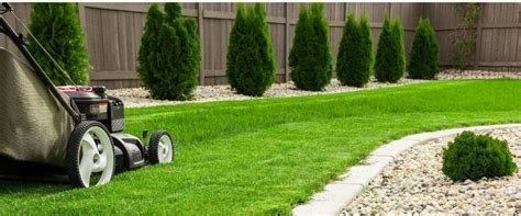How To Keep Your Grass Alive Through The Hot Dry Summer Months