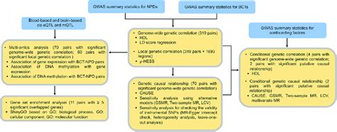 Overview Of The Main Analytic Steps Performed In The Study Download