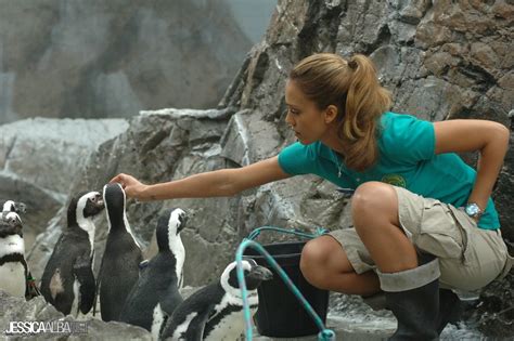 Jessica In Good Luck Chuck Jessica Alba Photo 6878326 Fanpop