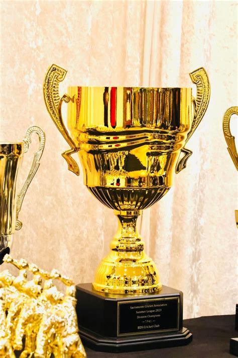 Im Truly Humbled By The Recognition And Awards Received For My