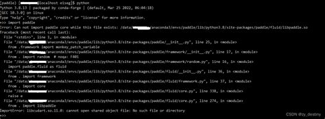【debug】importerror Libcudart So 11 0 Cannot Open Share Object File No