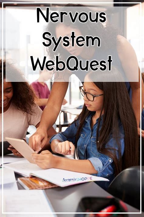 Nervous System Human Body Introduce Your Students To The Nervous