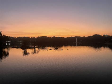 Vinishka Srilakshmi On Linkedin Causes Protectingearth