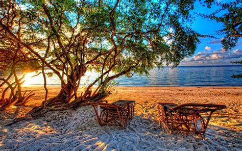 Summer Scenes Wallpapers Top Nh Ng H Nh Nh P