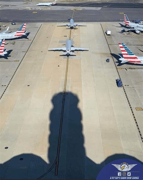 Fly The Friendly Skies R Mildlypenis