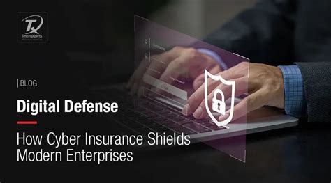 testingxperts on linkedin blog cyberinsurance digitaldefense