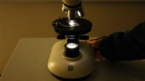 Illuminator Microscope Illuminator Microscope