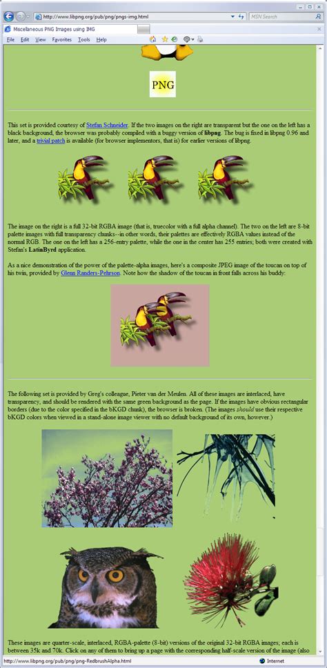 png transparency win32 ie 7 0b1 screenshots