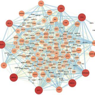 Pathway Target Network Blue Triangle Nodes Represent The Pathways