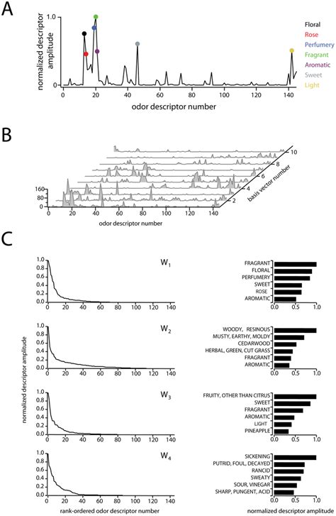 Properties Of The Perceptual Basis Set Plot Of Normalized Odor