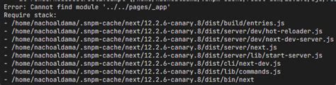 Error With Compiled Modules Using Symlinks Issue 40206 Vercel Next