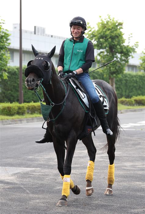 セイウンハーデス12秒3絶好の気配 橋口師「馬がどんどん成長している」／七夕賞 競馬写真ニュース 日刊スポーツ