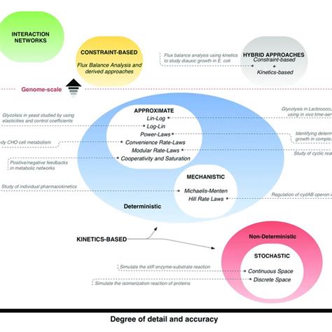 Phenotype Prediction Approaches Interaction Networks Download