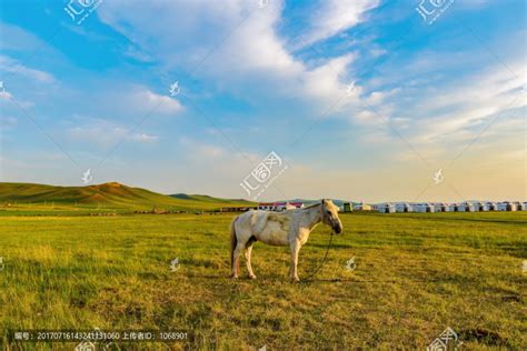 草原牧场乌拉盖草原草原风光自然风景摄影素材汇图网