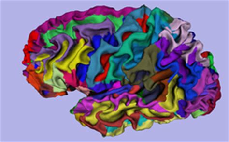 Slicer Training Slicer Wiki