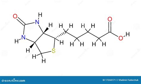 Rna Structural Formula Of Adenine Cytosine Guanine And Uracil
