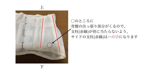 【図で解説】義肢装具士が教える医療用コルセットダーメンコルセット 上下の見分けかた 義肢装具士こたつのじかん