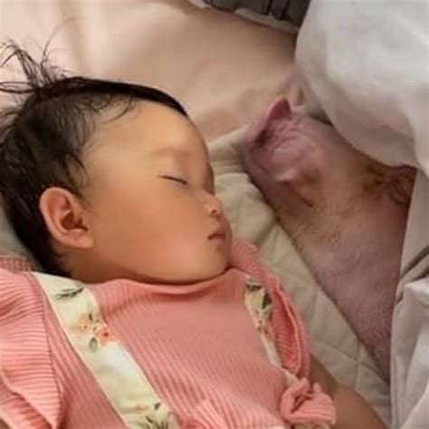 네이버 인플루언서