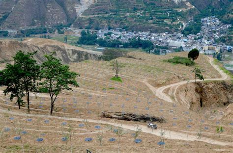 甘肃文县：“撂荒坡地”变身“金山银山”中国农科新闻网