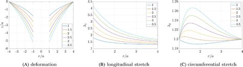 Dimensionless Deformation And Stretch Graphs For Various Applied