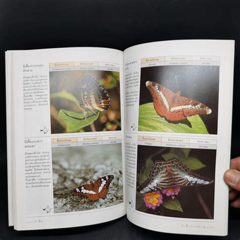หนังสือ ผีเสื้อ เกรียงไกร สุวรรณภักดิ์ รหัส 1067823 ขายหนังสือผีเสื้อ
