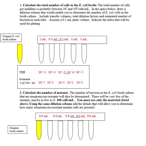 Calculate The Total Number Of Cells In The E Coli Chegg Com