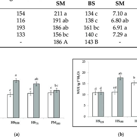 Experiment 2 Effect Of The Interaction Between Irrigation Strategy And Download Scientific