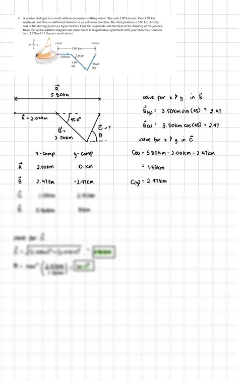 Solution Physics Vectors And Vector Resolution Studypool