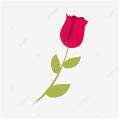 紅色水彩花卉png素材 花朵 花卉 水彩素材圖案，psd和png圖片免費下載