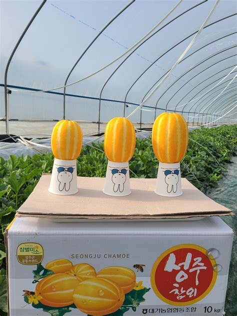 성주참외 선물용특품 5kg10kg 1667797752 성주참외