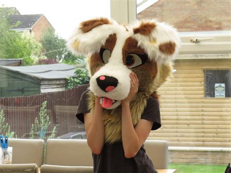 Completed Australian Shepherd Fursuit Head 💕 Furry Amino