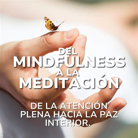 DEL MINFULNESS A LA MEDITACIÓN SerYoga org