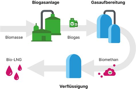 LNG Erzeugung NEOBus