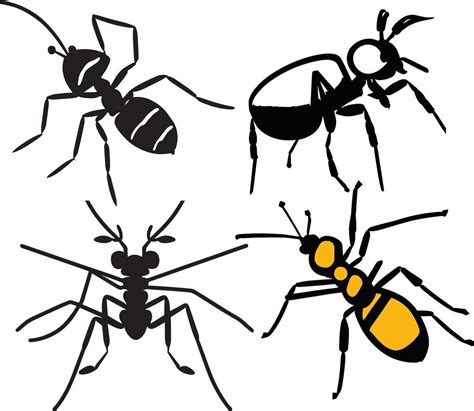 Beautiful Worker Ants Vector Line Art 22312701 Vector Art At Vecteezy