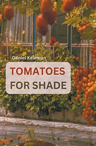 Best Tomato Varieties For Shade Growing Tomatoes In Shady Areas Garvillo