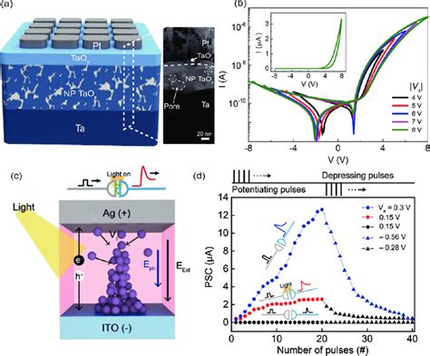 a schematic of a self rectifying memristor with a pt tao y