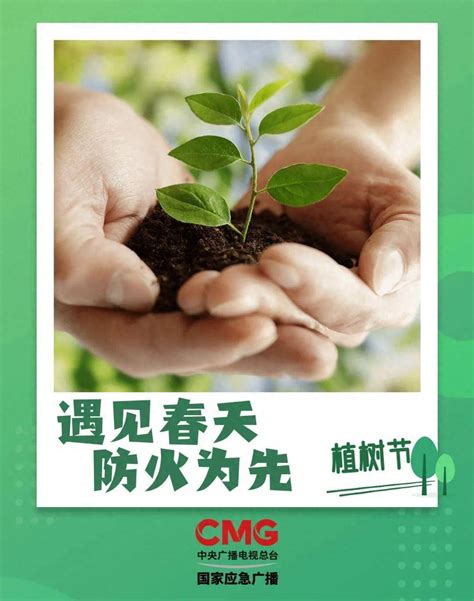 为绿水青山充“植”，更要为森林防火打卡火灾林区火源