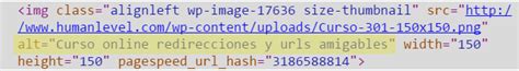 ¿qué Es El Atributo Alt Human Level