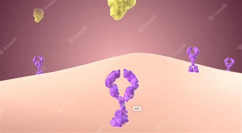 Premium Photo Angiotensinconverting Enzyme Ace Inhibitors Bind To The