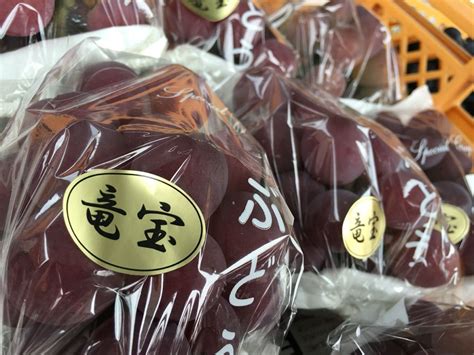 竜宝残りわずかです 株式会社ファームタケヤマ葡萄園ぶどう狩り梨園なし狩り稲作経営