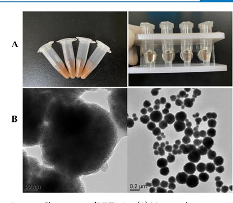Figure 1 From Fluorescent Sensor Based On Magnetic Separation And Strand Displacement
