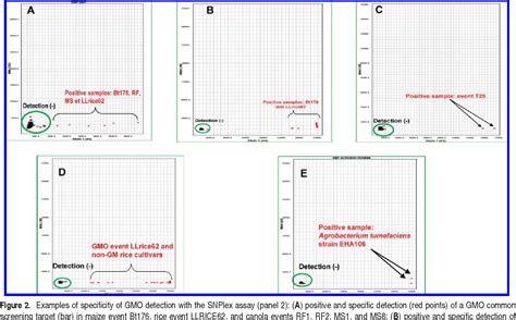 Figure 2 From A High Throughput Multiplex Method Adapted For Gmo