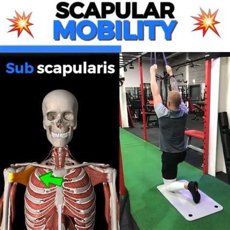 How To Improve Posture And Scapular Mobility Better Posture Postures Improve Posture