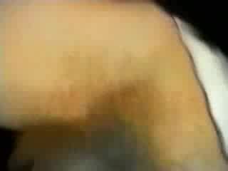 Damien Gets Sucked Thisvid Com